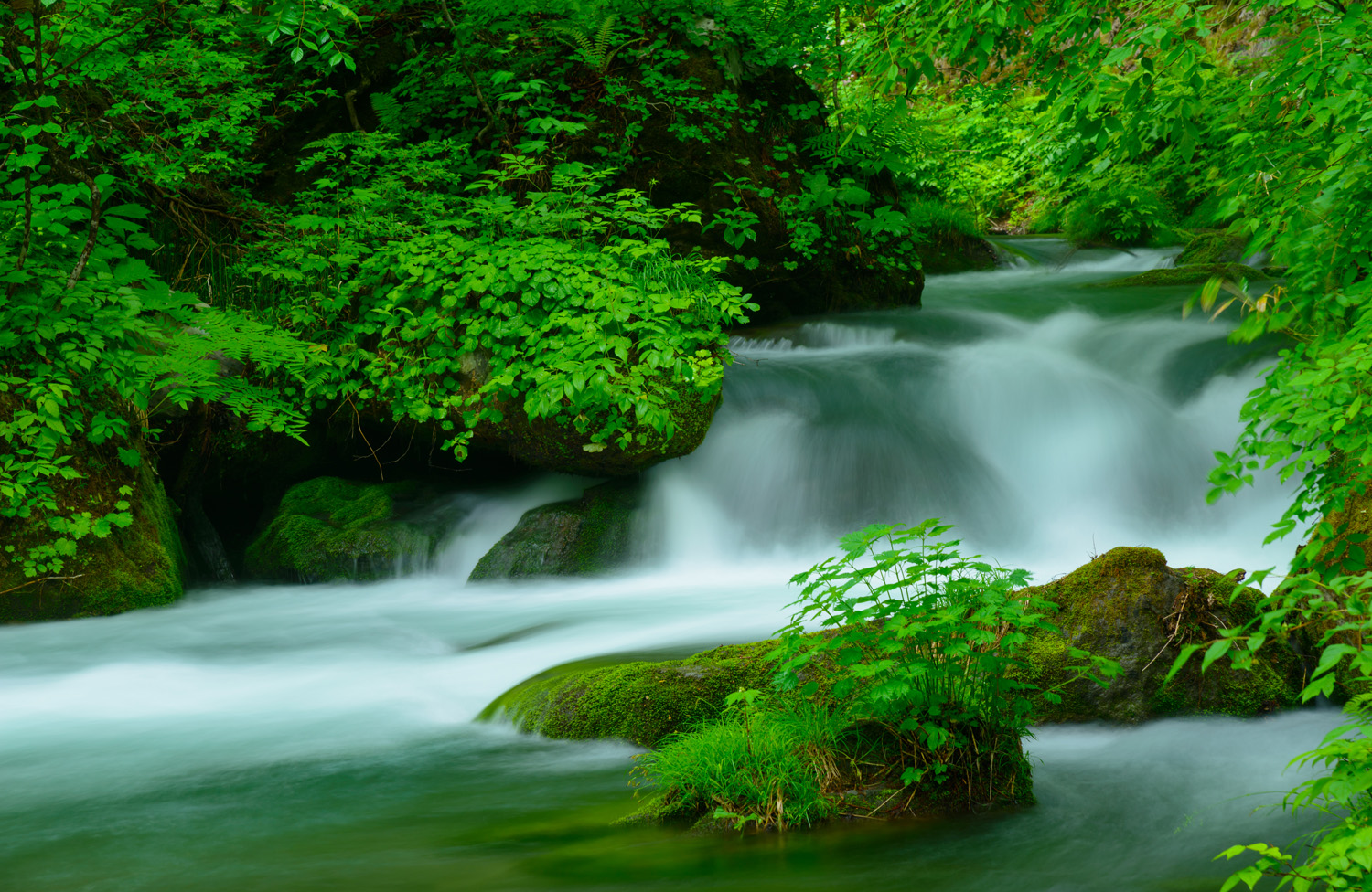 %e9%9d%92%e6%a3%ae%e5%a5%a5%e5%85%a5%e7%80%a8 – dittou