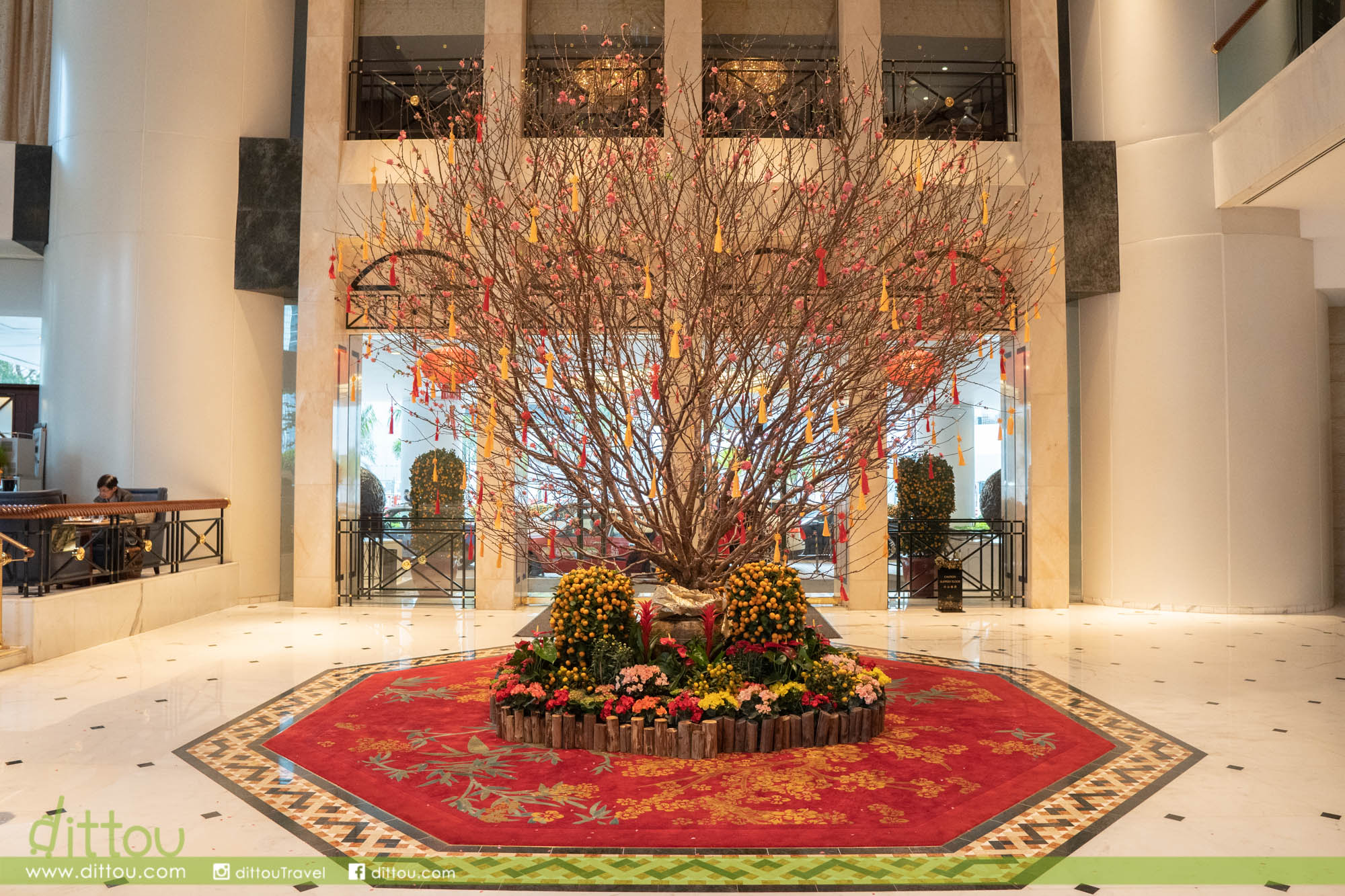 【旅居香港】14 港島香格里拉大酒店 Island Shangri La Hong Kong Dittou